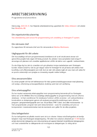 Arbetsbeskrivning programmerare-utvecklare | DokuMera